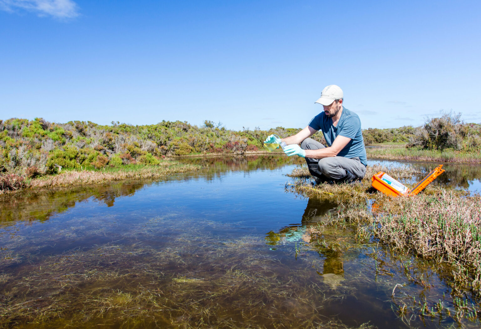 Home - Center for Progressive Reform