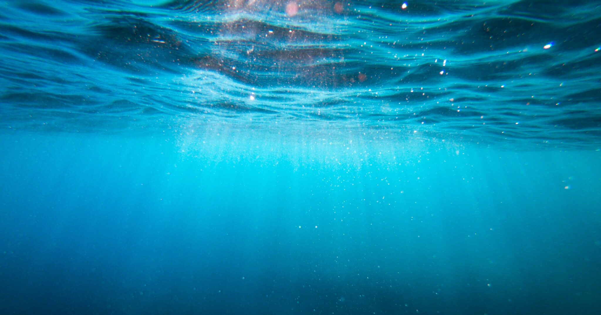 Verchick: To Build Climate Resilience, We Need to ‘Start Living with ...